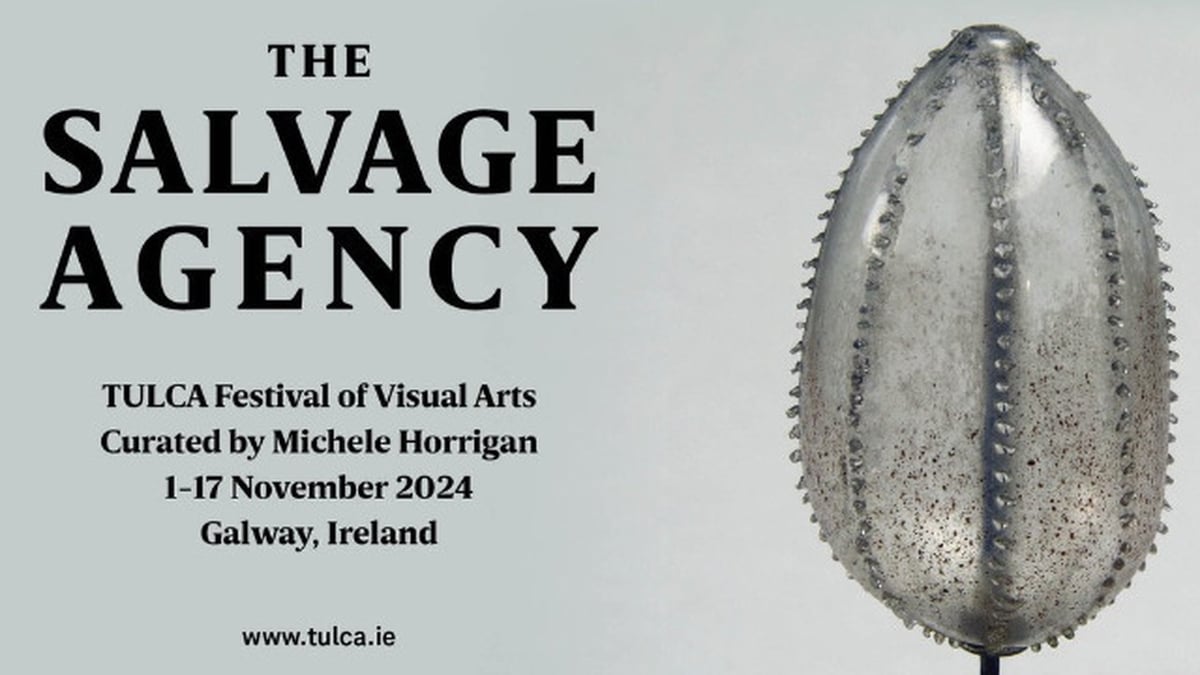 Tulca Festival of Visual Arts: The Salvage Agency | Arena - RTÉ Radio 1