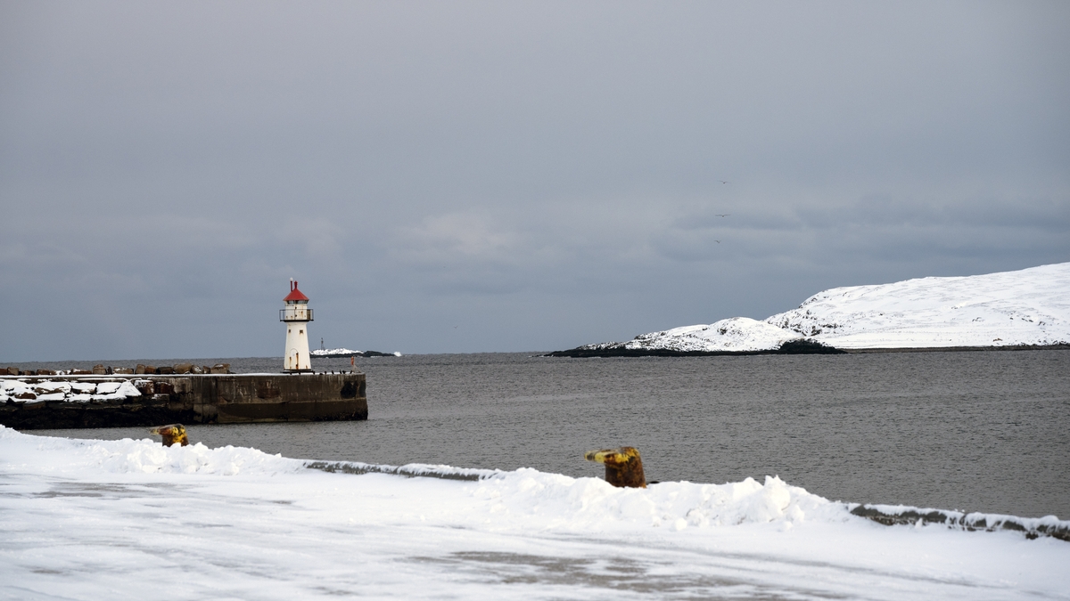 Richard and Niall reminisce about their trip to the Norwegian Arctic ...