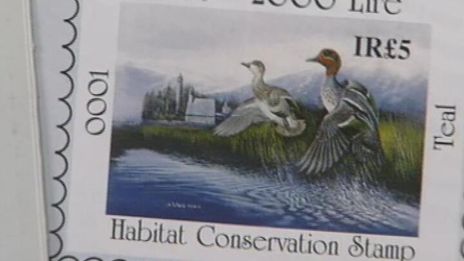RTÉ Archives | Environment | Habitat Conservation Stamp
