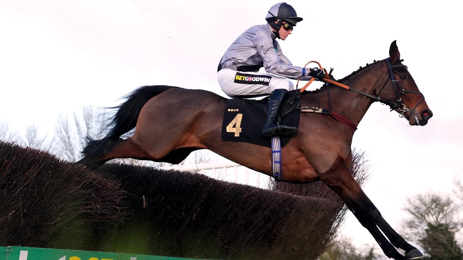 Cheltenham target for Wadham's Telepathique