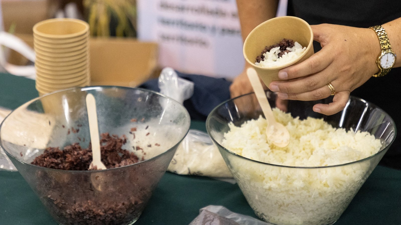 Less-thirsty rice offers hope in drought-stricken Chile