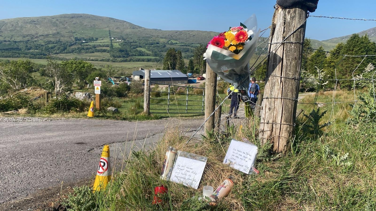 Forensic analysis of Michael Gaine farmyard resumes | This Week - RTÉ ...