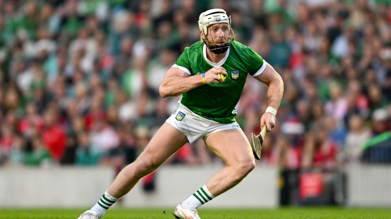 Lynch's decade of Limerick artistry