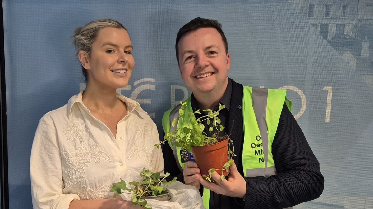 Comedian Taran O'Sullivan does Tidy Towns | Oliver Callan - RTÉ Radio 1