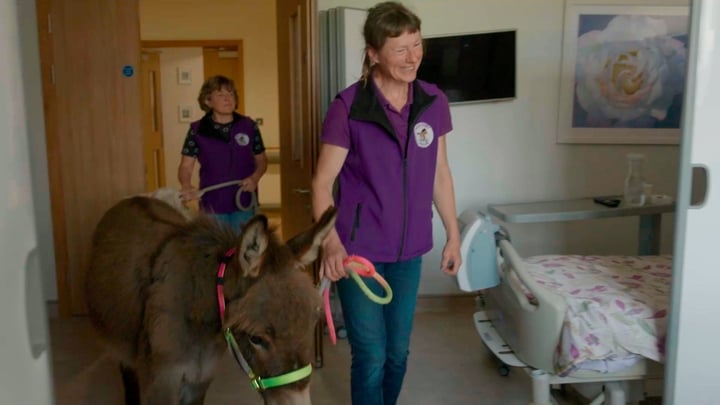 Nationwide 2025-06-25 - RTÉ Player