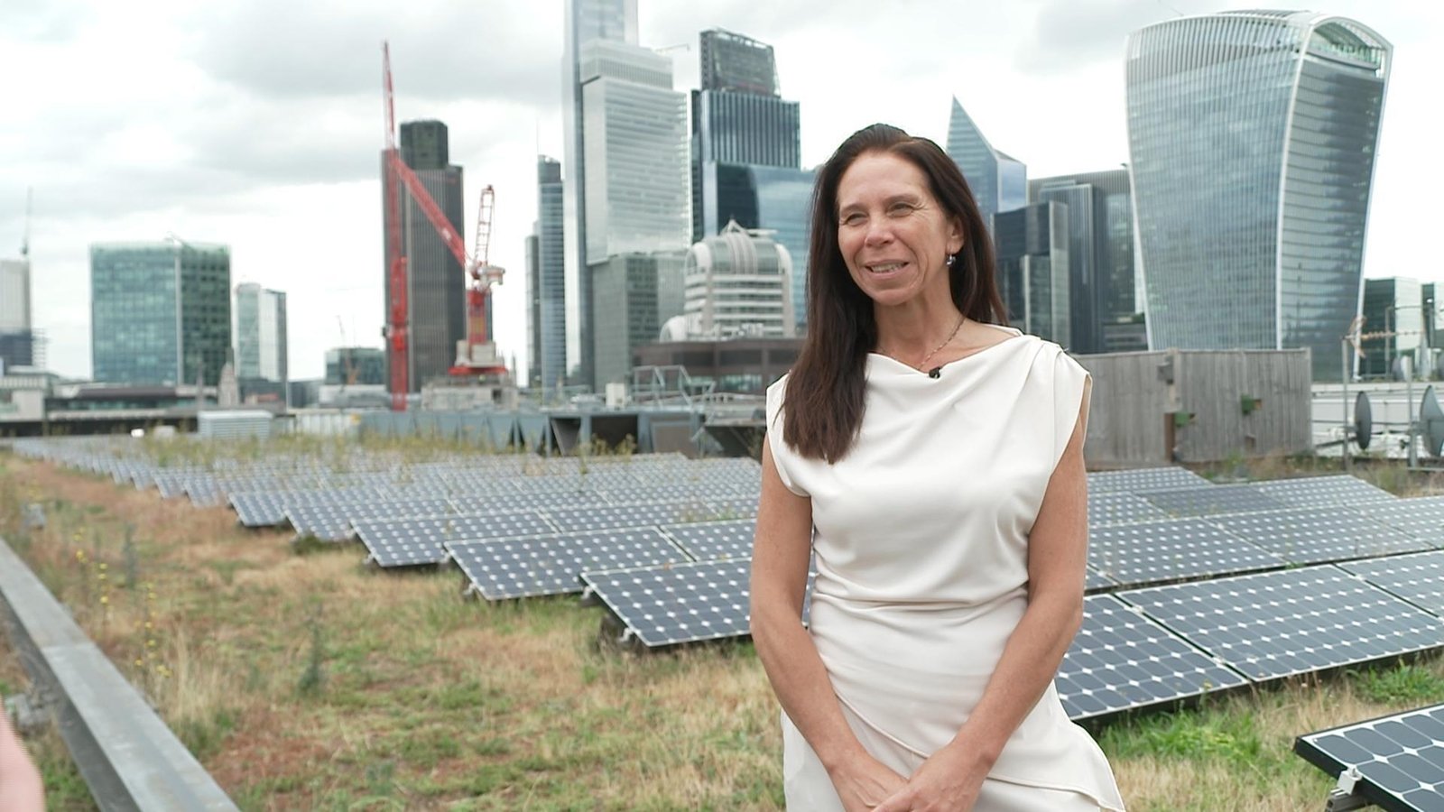 Green roofs help ease daytime temperatures for Londoners