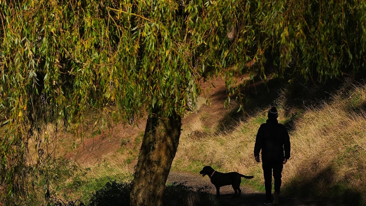 NY Day walks - the best hikes across the country | Today with David ...