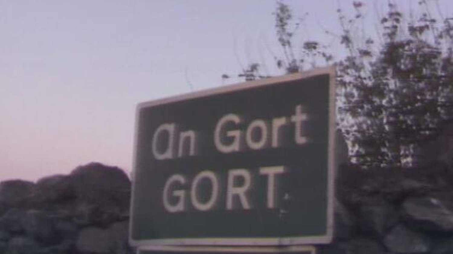 RTÉ Archives | Environment | Bilingual Road Signs