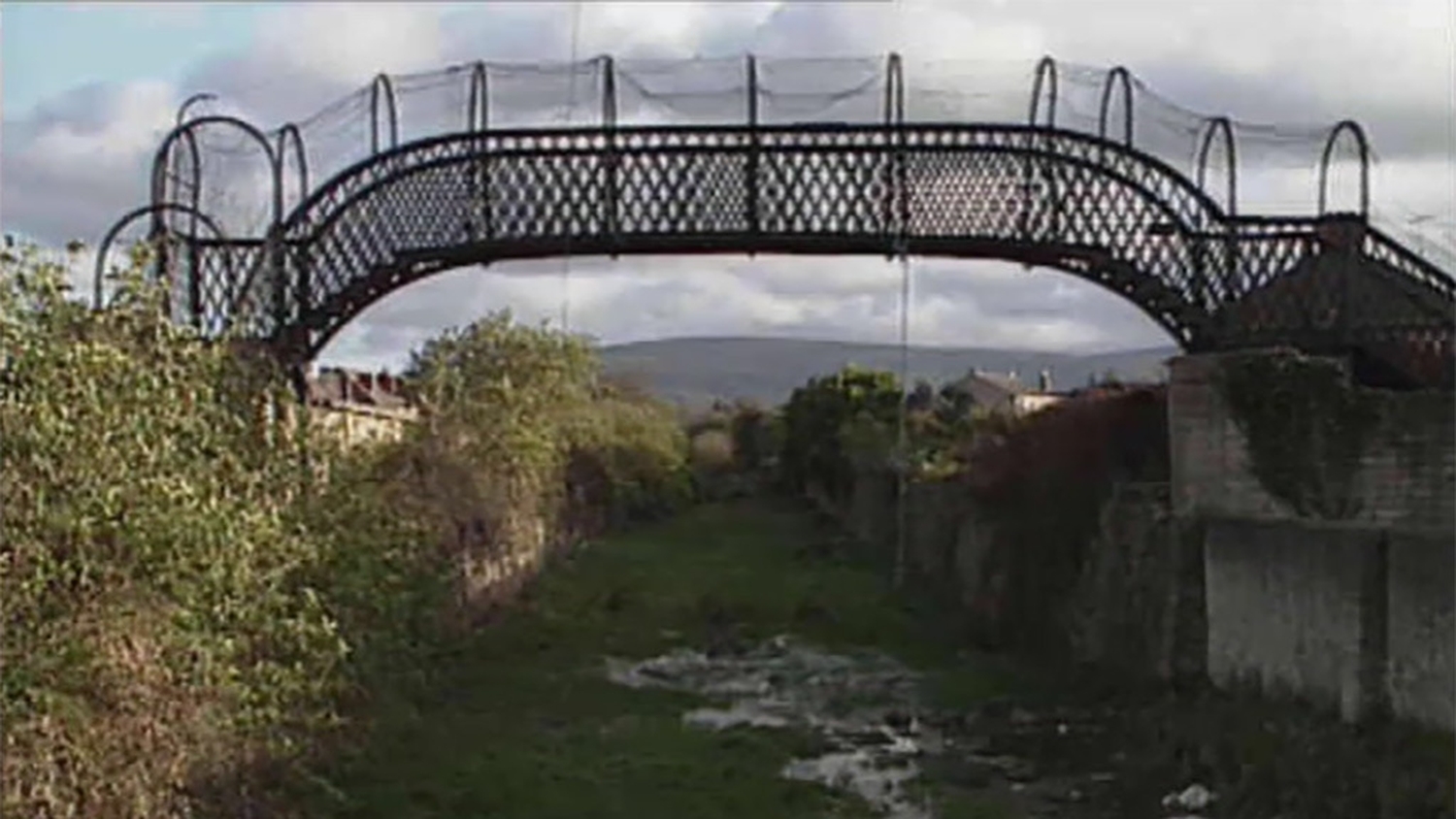 RTÉ Archives | Environment | Harcourt Street Line