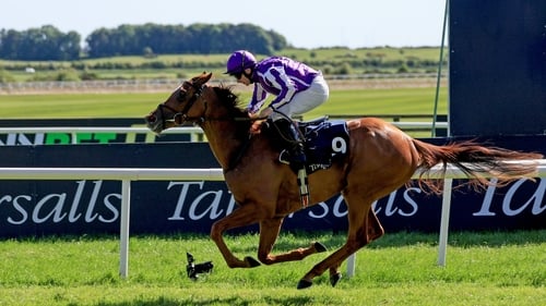 Precise turns the tables to take Irish 1,000 Guineas